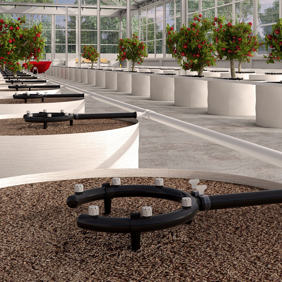 Watering Rings For Plants | The Bucket Company